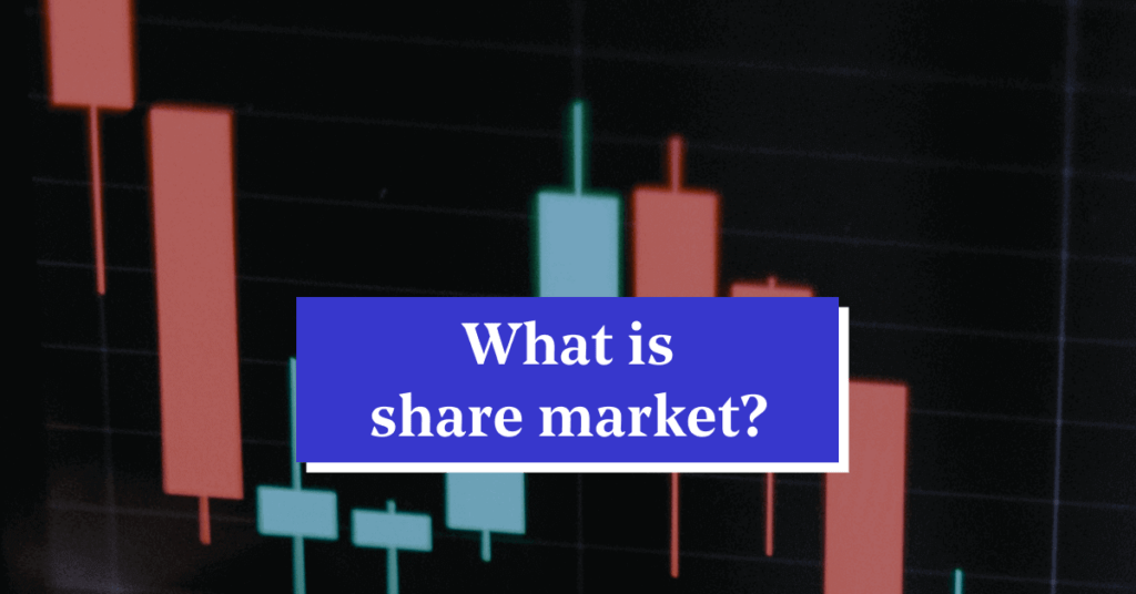 What is the Share Market? Definition, Types & Functions