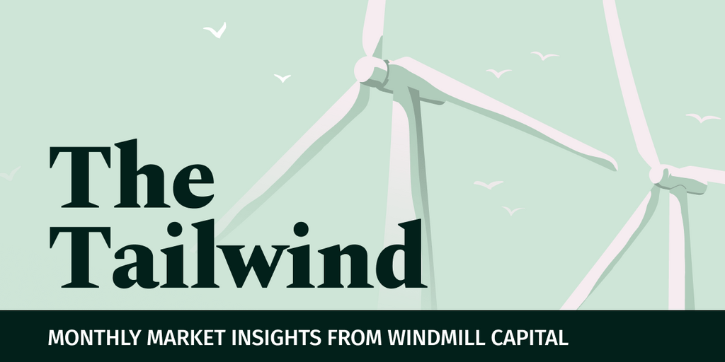 Windmill Capital Investor Letter – June 2025 Edition